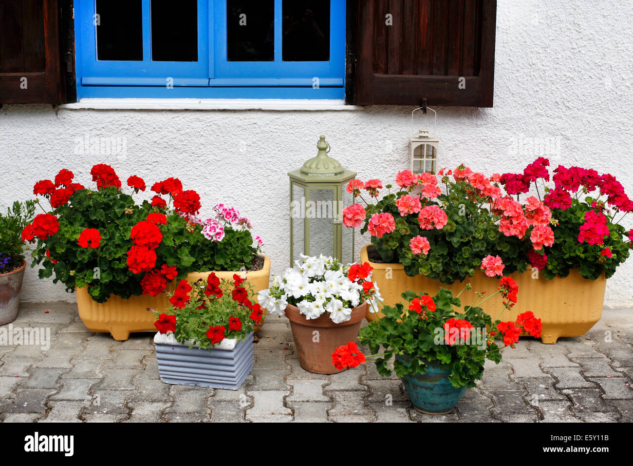 Geraniums in pots hi-res stock photography and images - Alamy