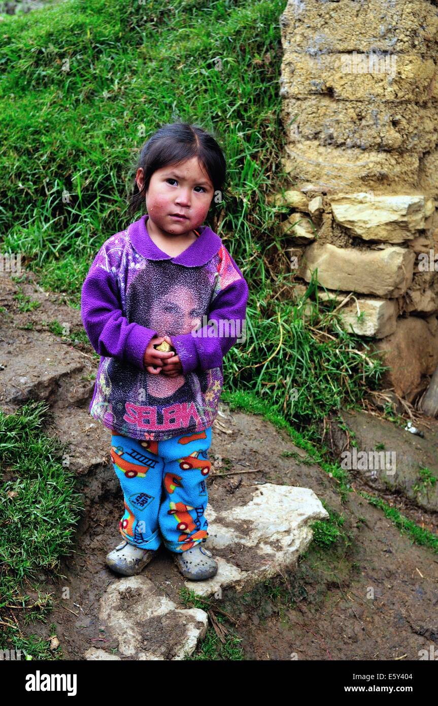 Farm in Cruzpata - CHACHAPOYAS . Department of Amazonas .PERU Stock ...