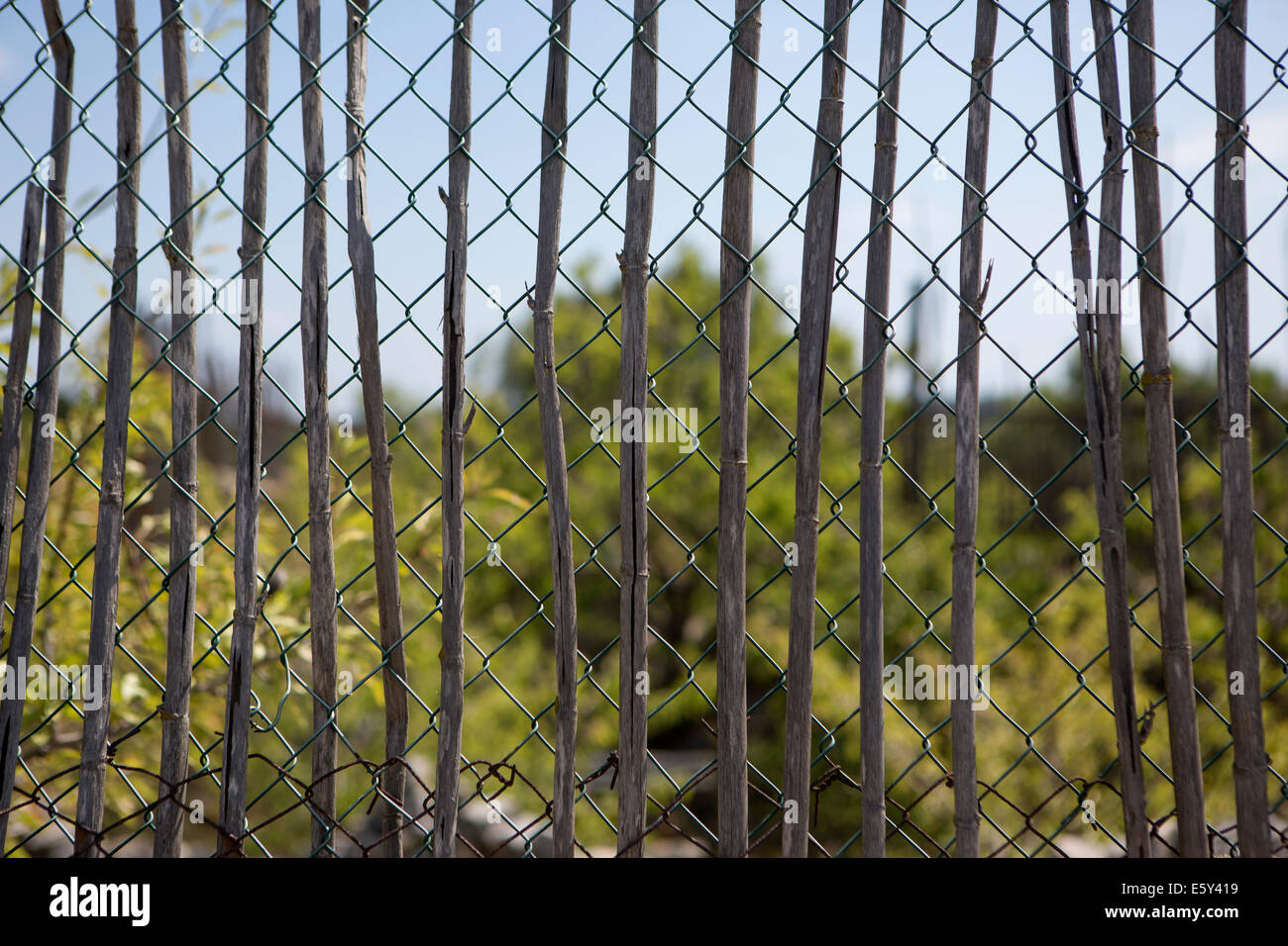 Wire and cane fencing Stock Photo - Alamy