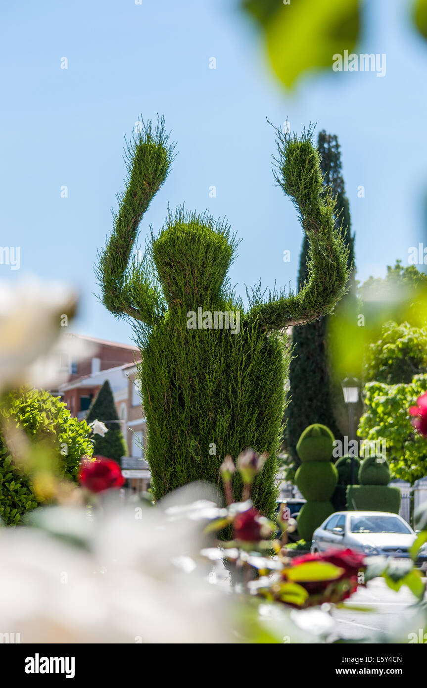 Topiary plant hi-res stock photography and images - Alamy