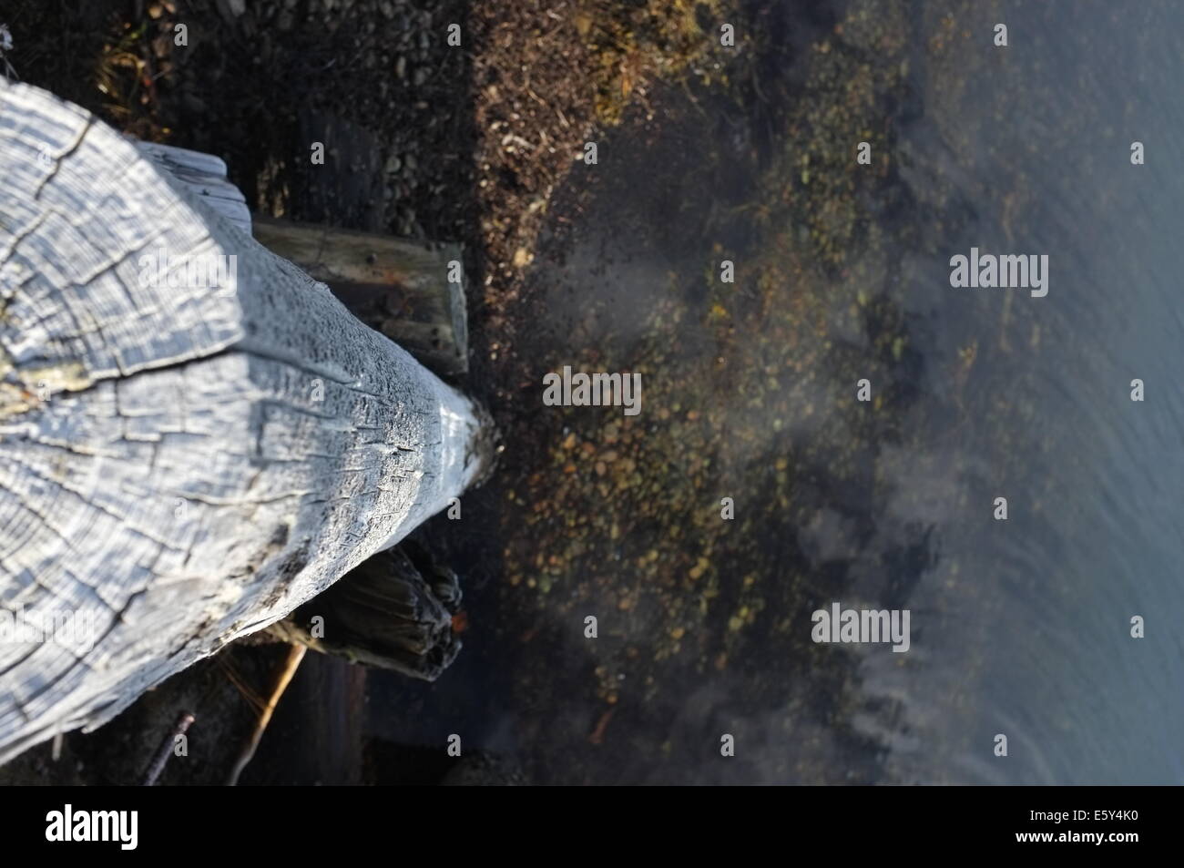 an old wharf in Atlantic Canada Stock Photo - Alamy