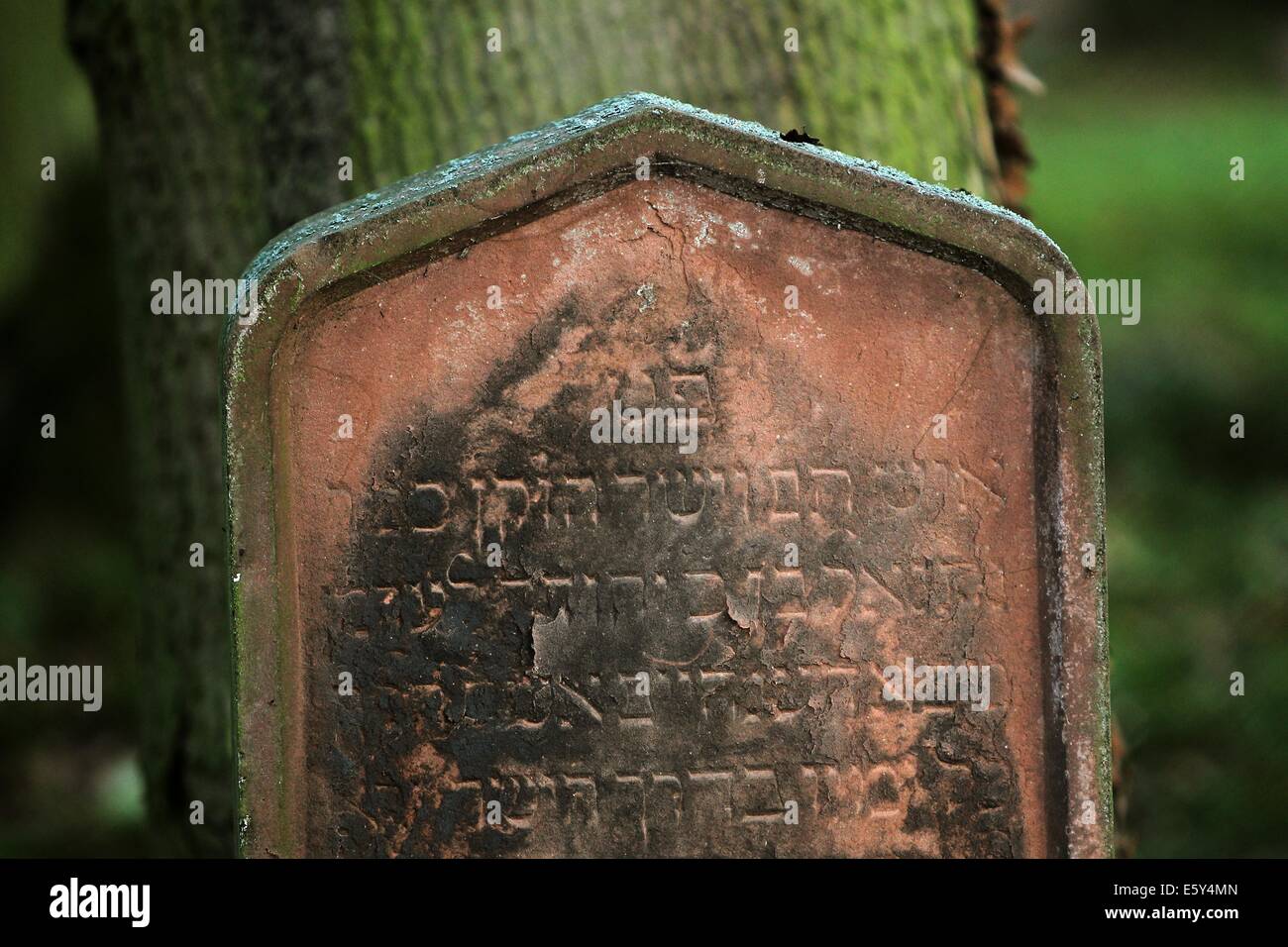 An old gravestones stands on the grounds of the Jewish cemetery, also ...