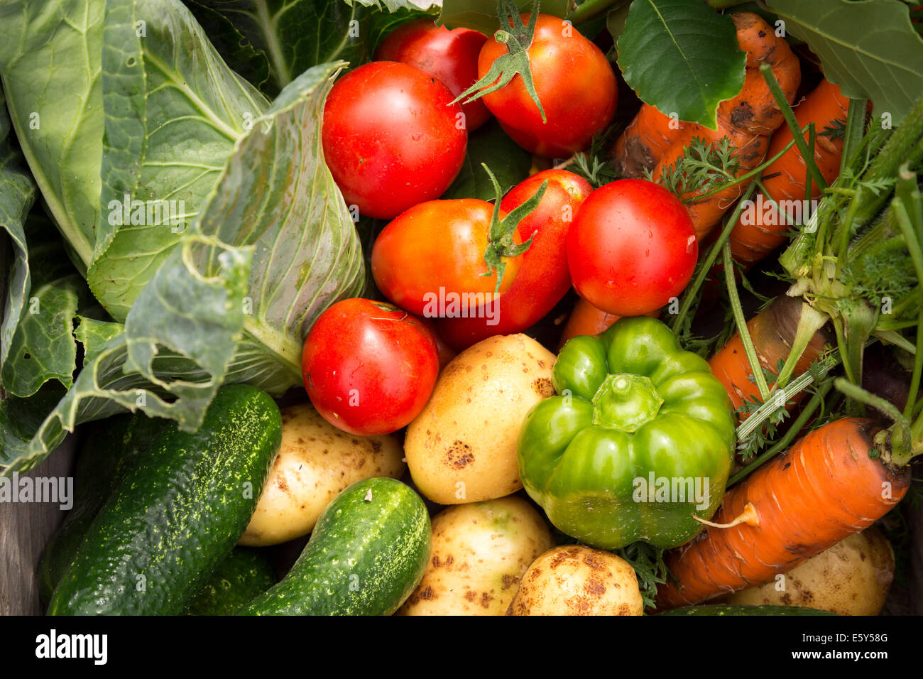 fresh organic vegetables from mums garden Stock Photo - Alamy