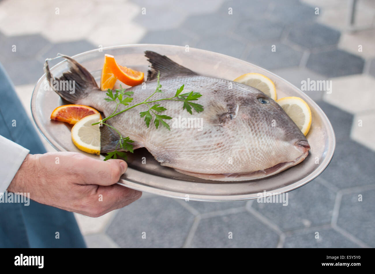 Ola fish hi-res stock photography and images - Alamy