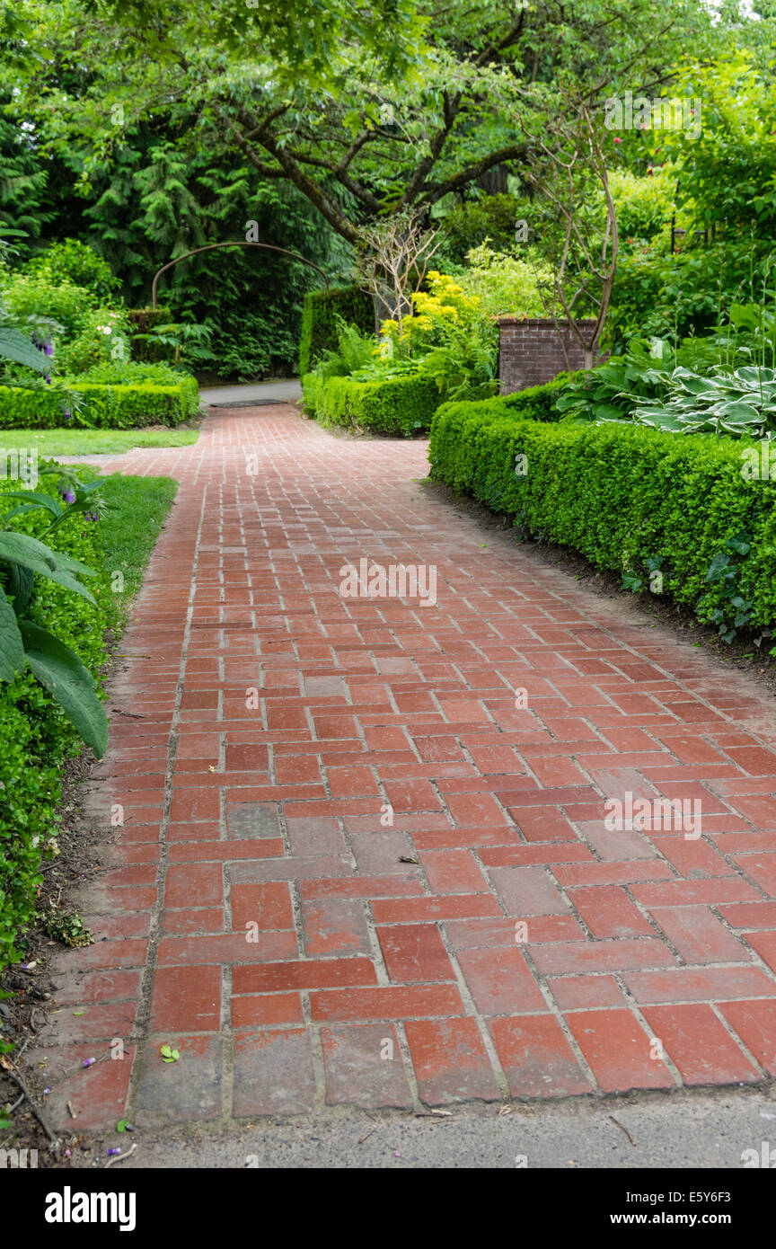 Planting garden hedge hi-res stock photography and images - Alamy