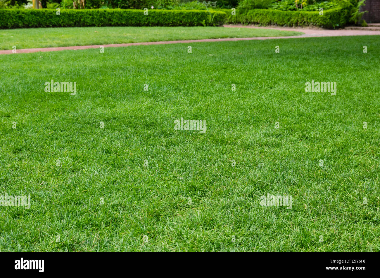 Bright green grassy Lawn in a large public garden with path and trimmed ...