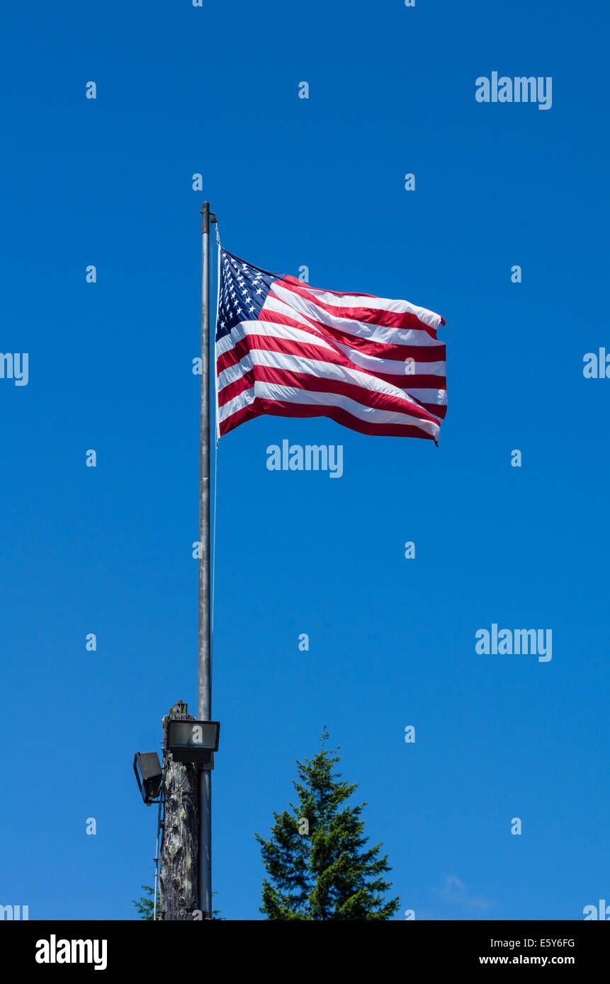 United States flag flying on a pole Stock Photo - Alamy