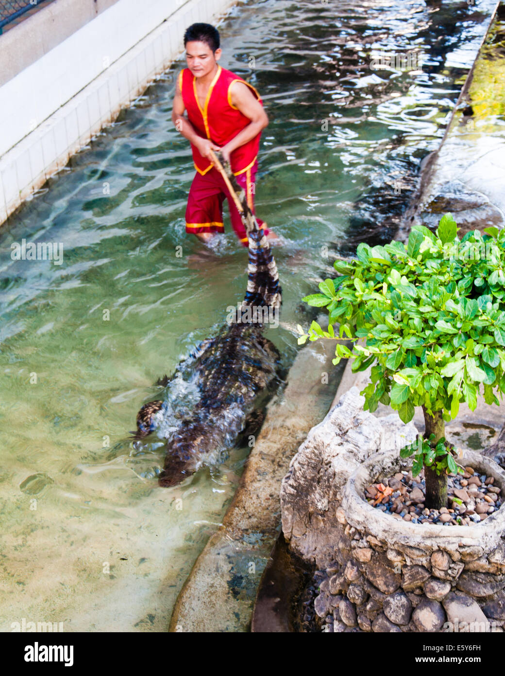 Crocodile show at Samphran Crocodile Farm on May 24, 2014 in Nakhon ...