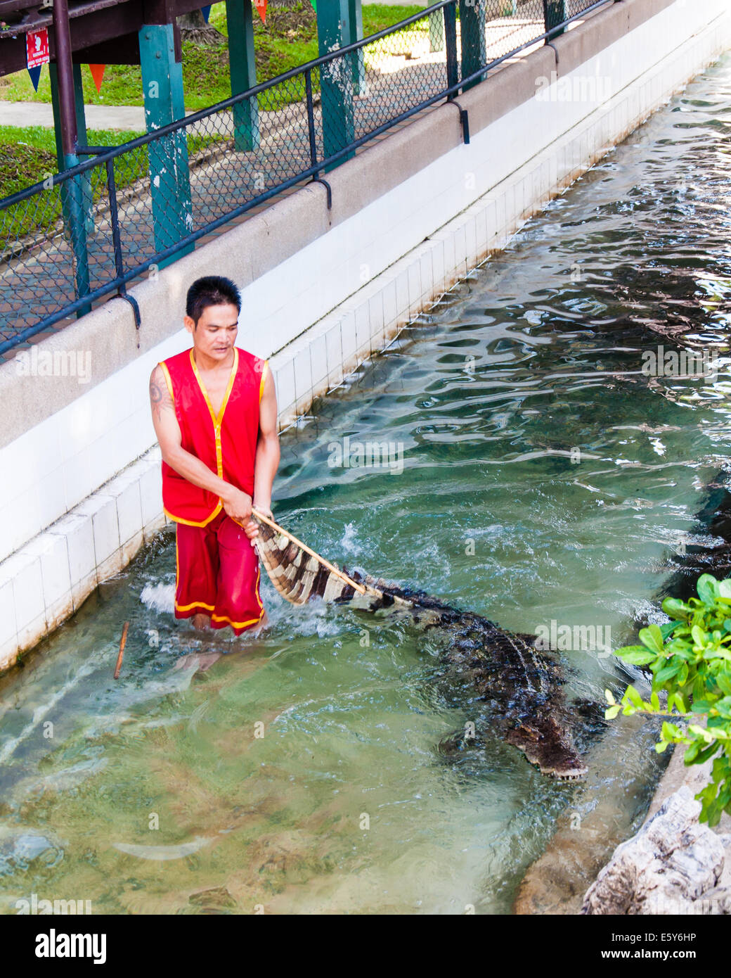 Crocodile show at Samphran Crocodile Farm on May 24, 2014 in Nakhon ...
