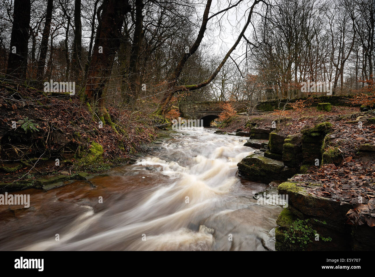 Fast Flowing Stream Stock Photo - Alamy