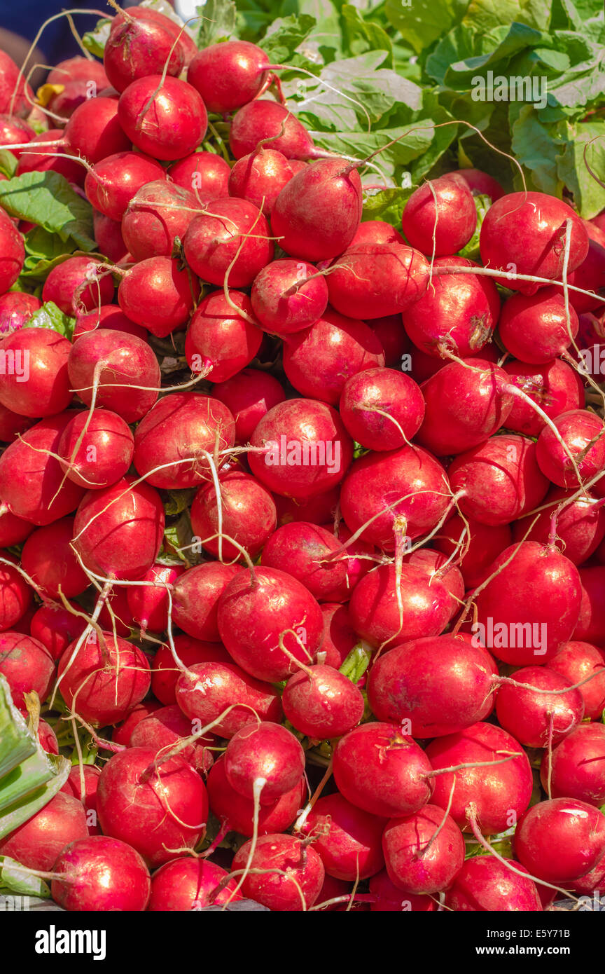 Red crops hi-res stock photography and images - Alamy