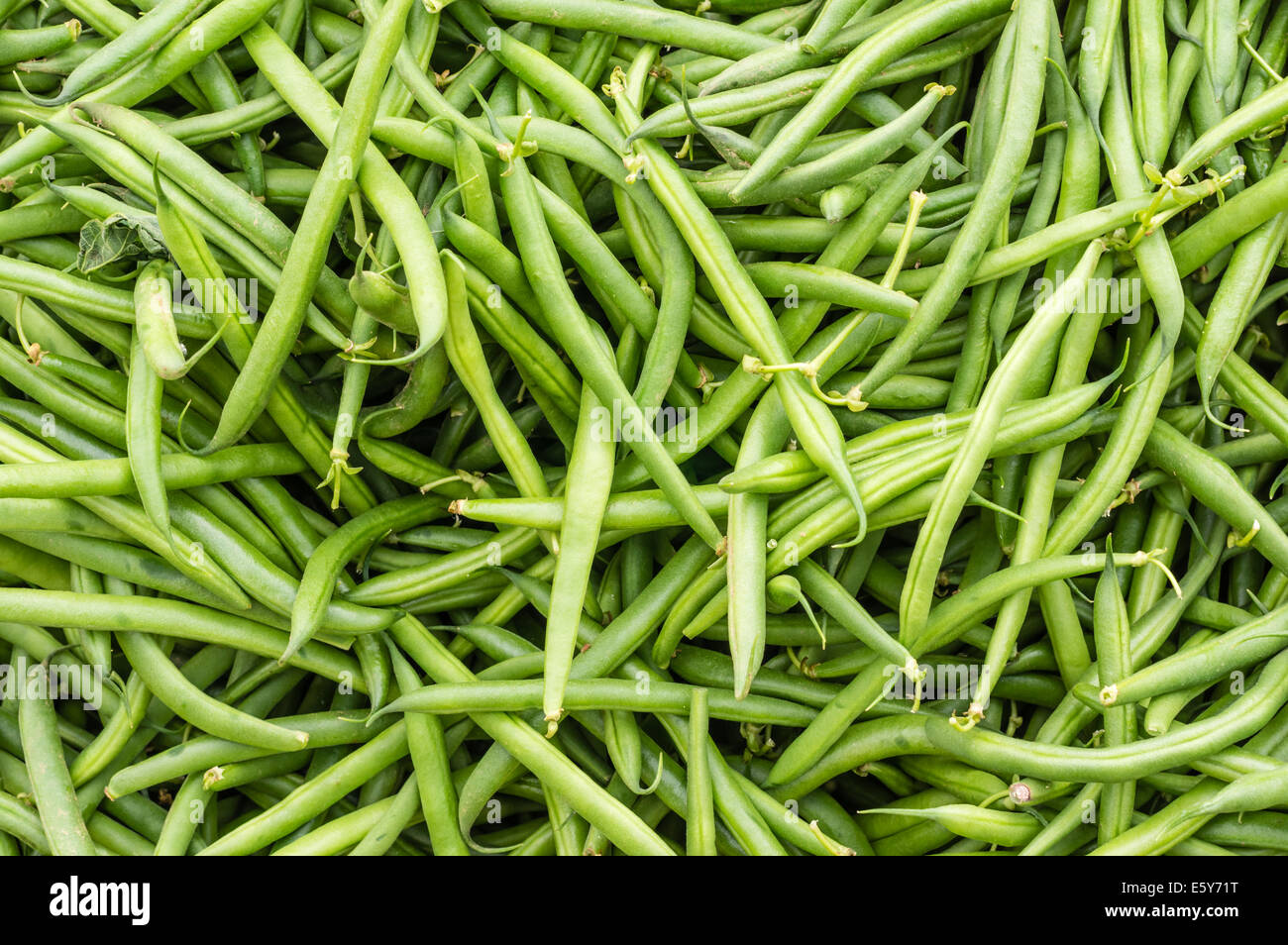 Snap beans hi-res stock photography and images - Alamy