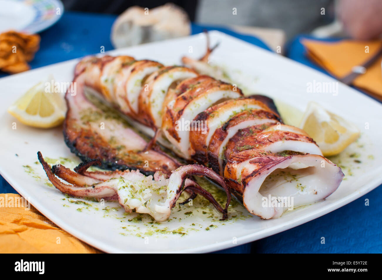 Mediterranean squid hi-res stock photography and images - Alamy
