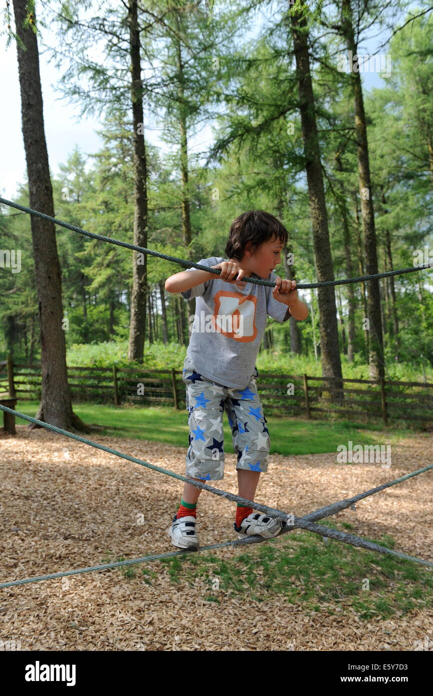 School friends swinging in the adventure park at Garwnant Forest, Powys ...