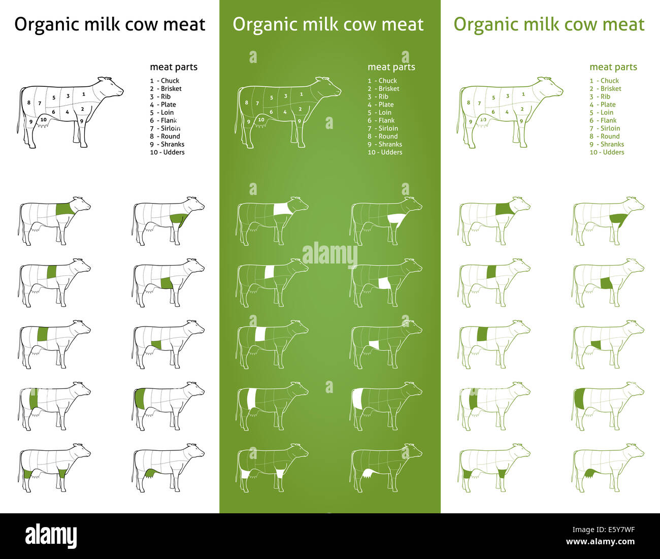 Icon set of bio organic milk cow (beef) meat parts for packaging and ...