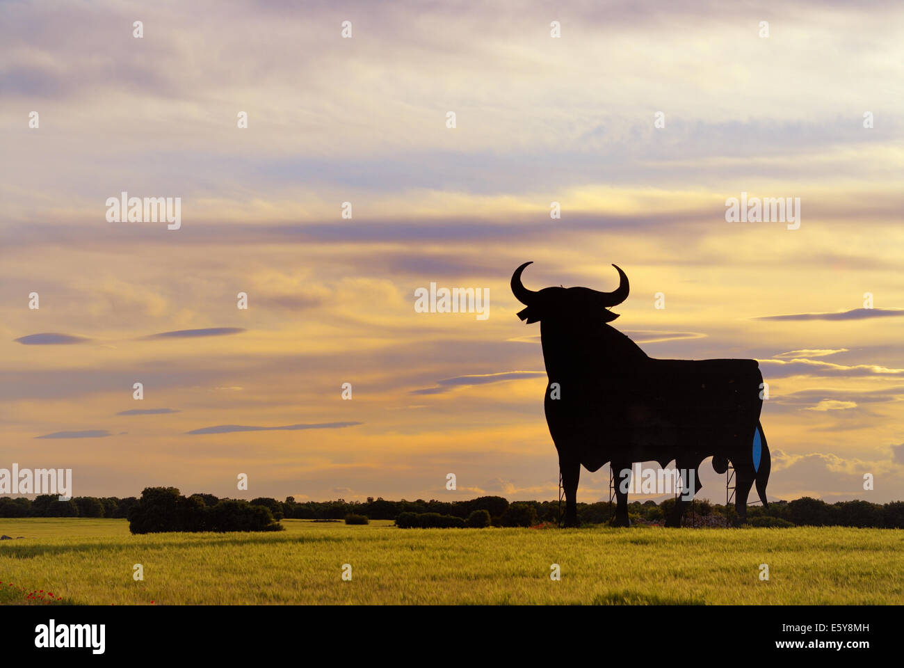 bull road sign dominating the spanish roads as an unofficial symbol ...