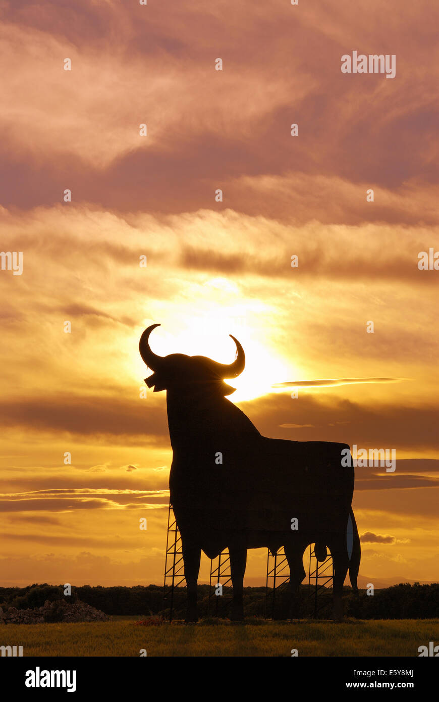 bull road sign dominating the spanish roads as an unofficial symbol ...