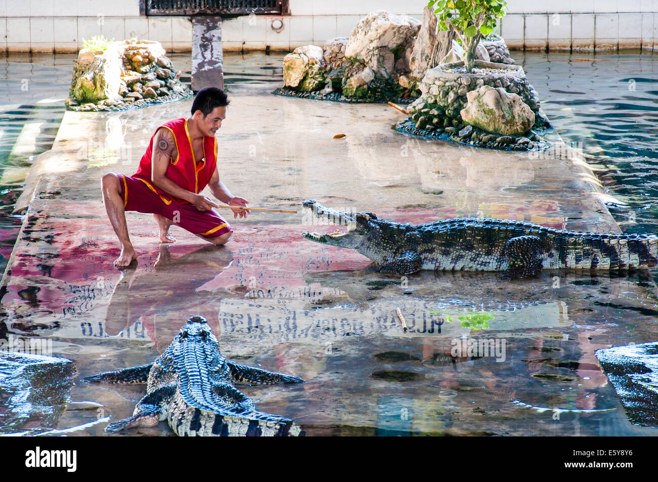 Crocodile show at Samphran Crocodile Farm on May 24, 2014 in Nakhon ...