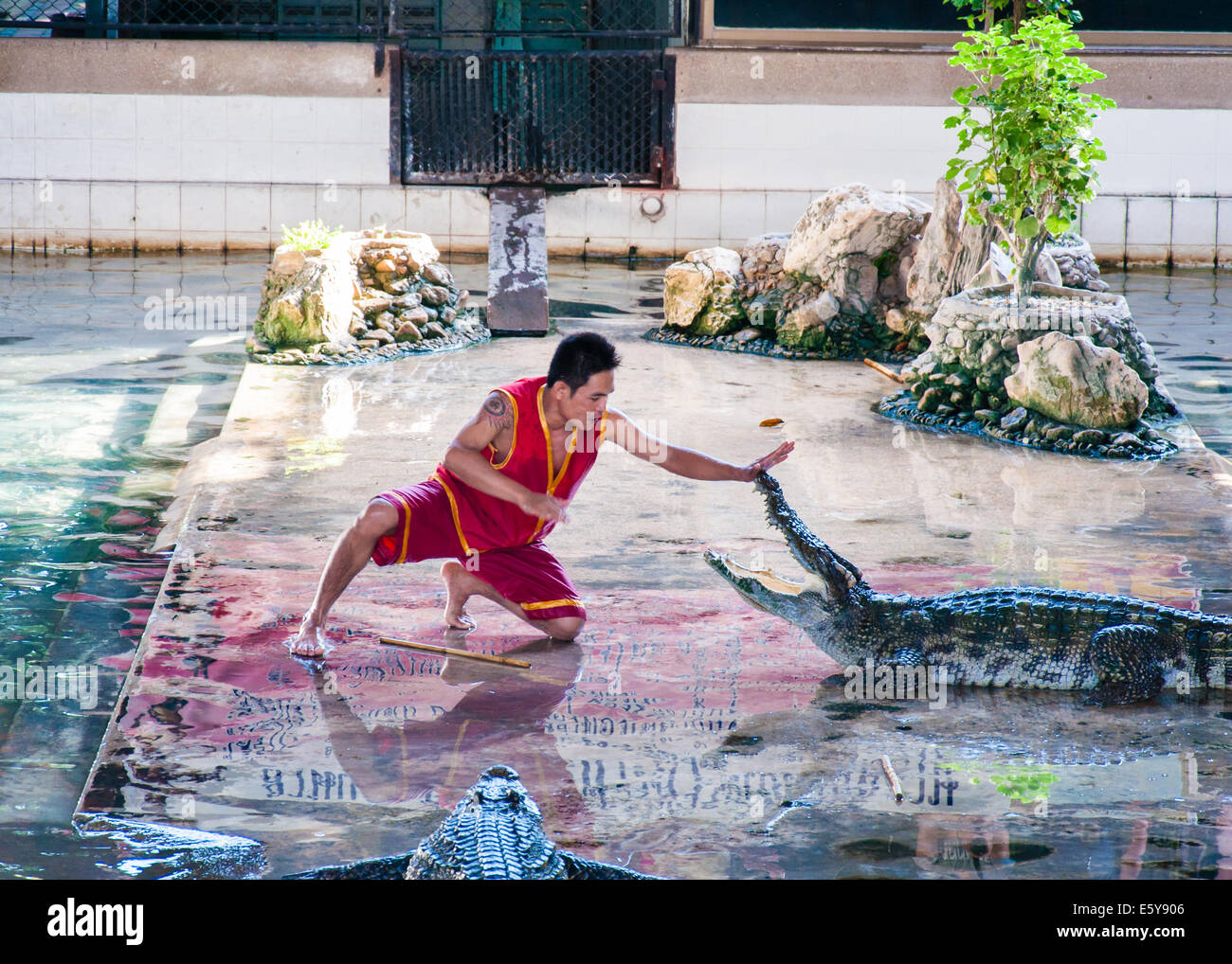 Crocodile show at Samphran Crocodile Farm on May 24, 2014 in Nakhon ...