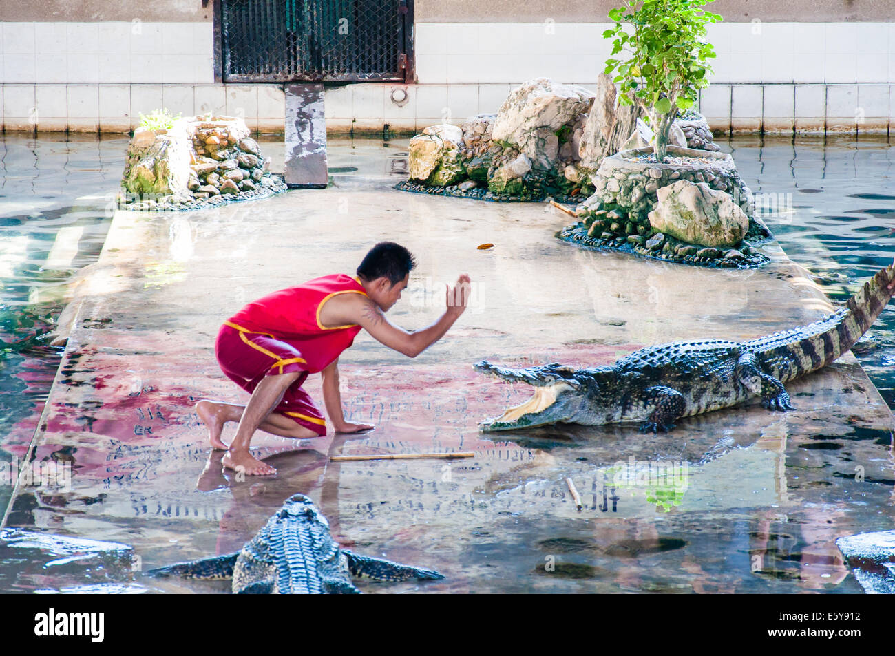 Crocodile show at Samphran Crocodile Farm on May 24, 2014 in Nakhon ...