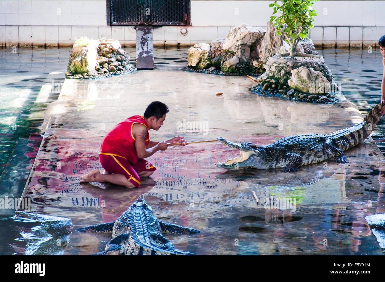 Crocodile show at Samphran Crocodile Farm on May 24, 2014 in Nakhon ...