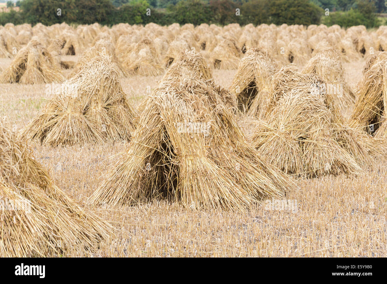 Old farming methods hi-res stock photography and images - Alamy