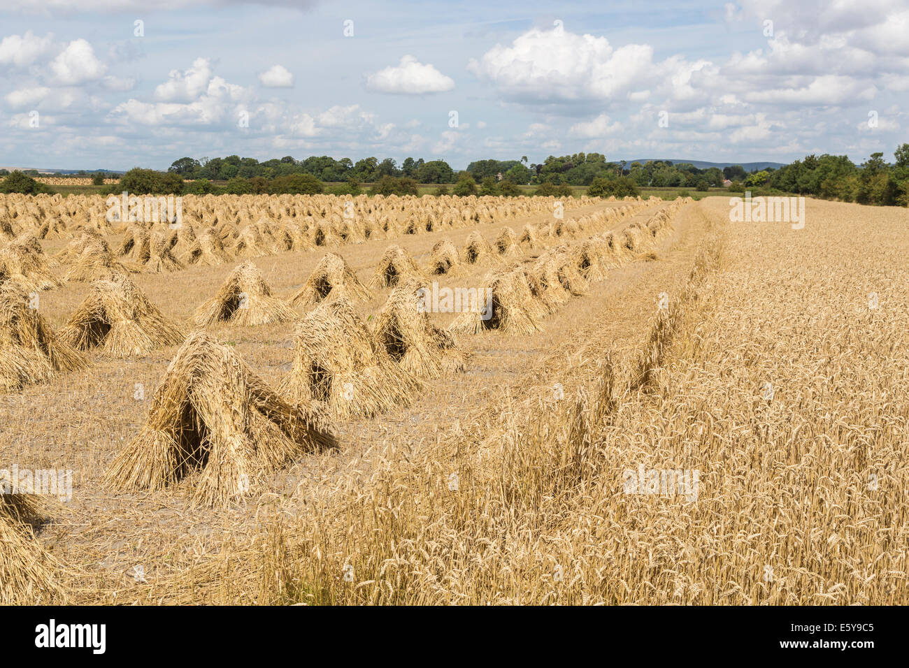 Old farming methods hi-res stock photography and images - Alamy
