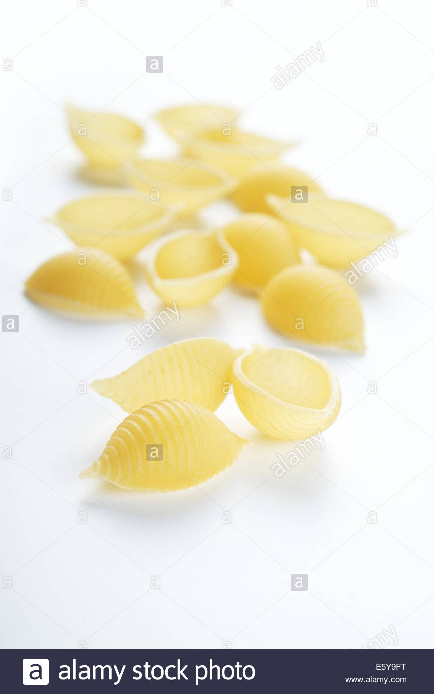 The Shells High Resolution Stock Photography and Images - Alamy