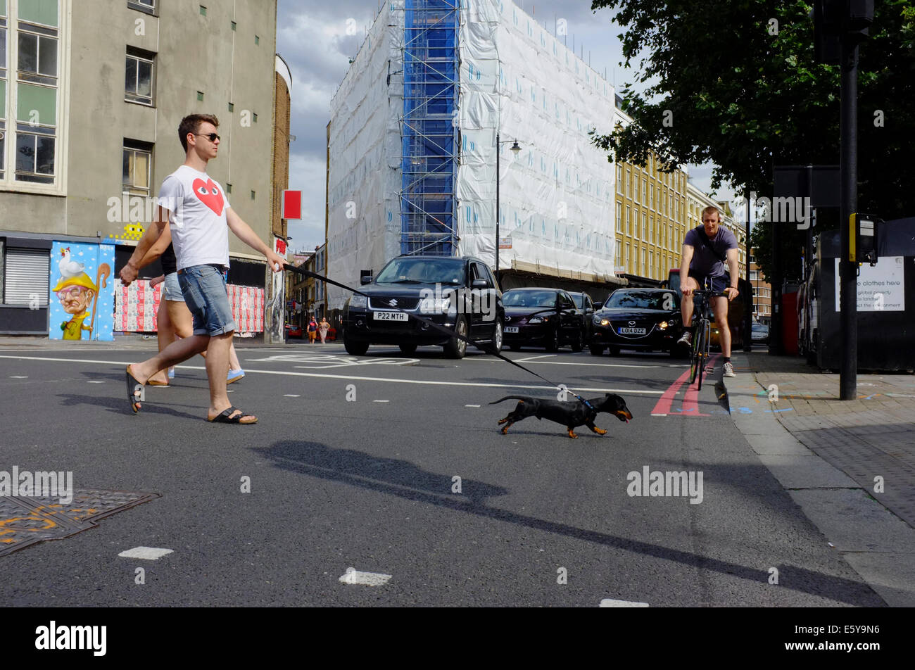 Dog crossing the road hi-res stock photography and images - Alamy