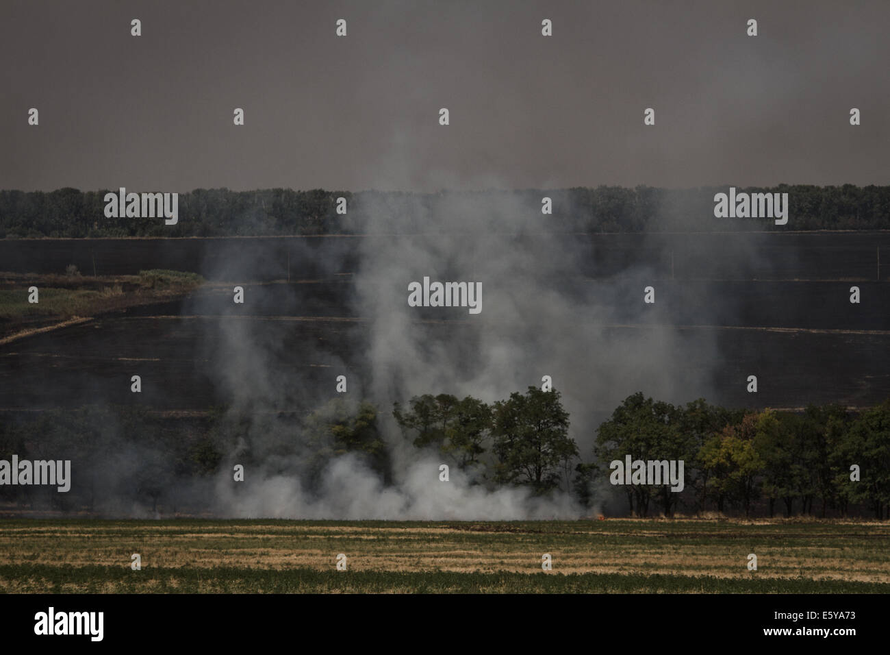 A smoke is seeing over wheat-land thats was inflamed after bombing from ...