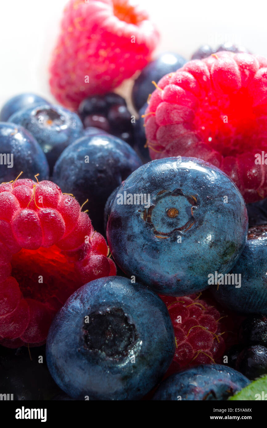 Colorful and vivid raspberry, blackberry and bilberry mix Stock Photo ...