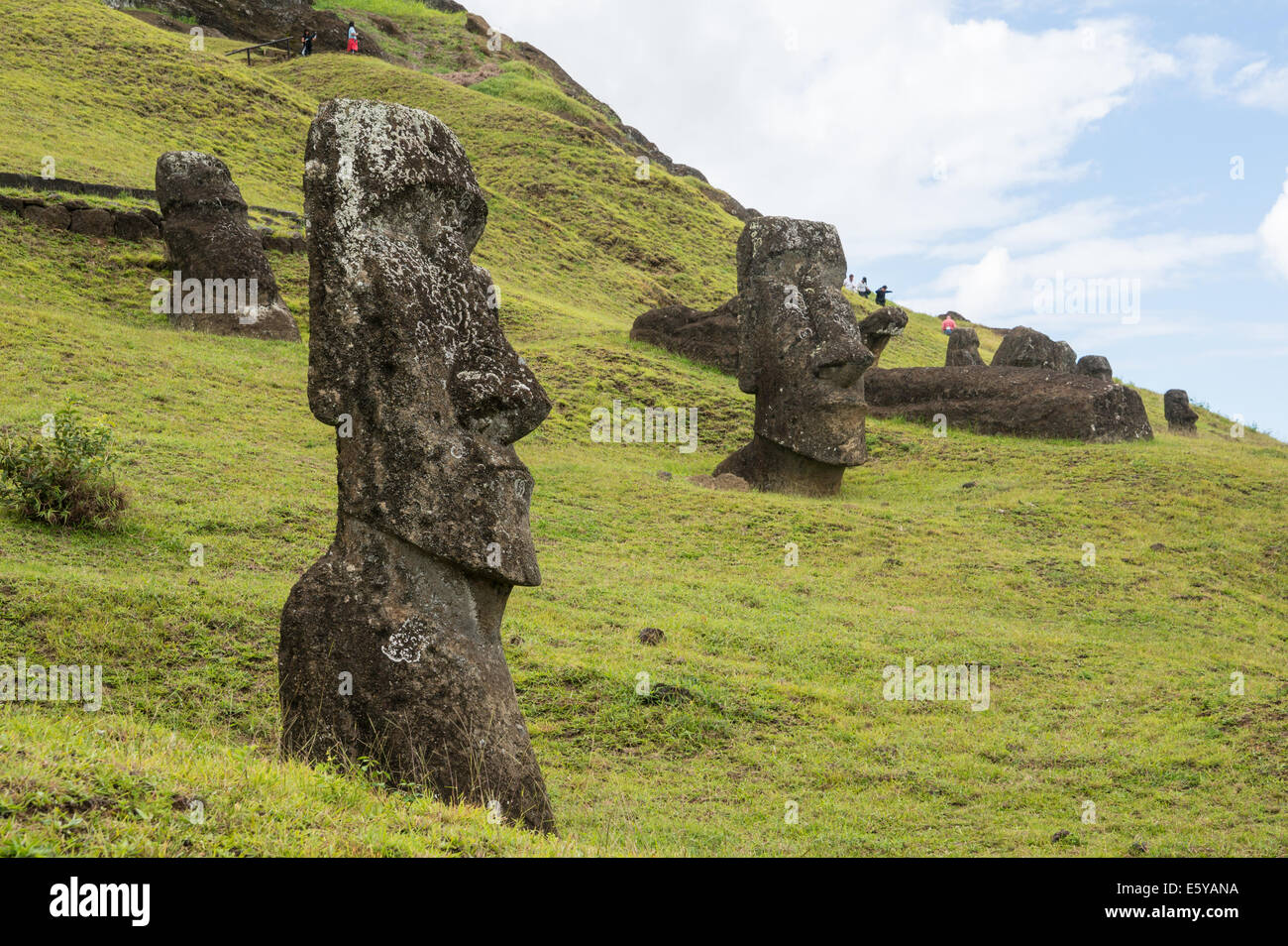 Easter Island moai statues various Stock Photo - Alamy