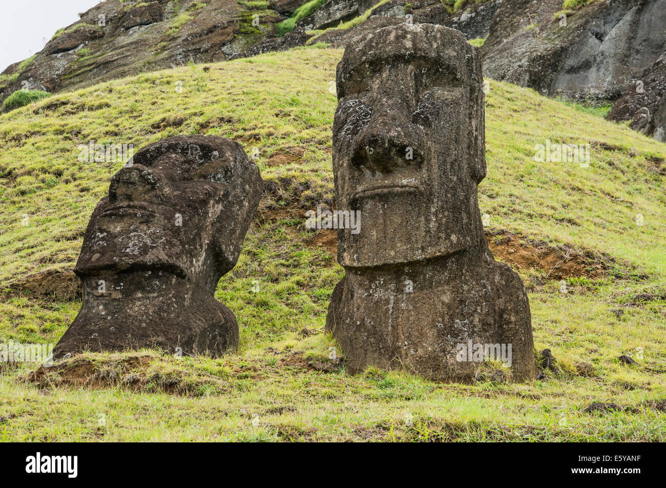 Easter Island moai statues various Stock Photo - Alamy