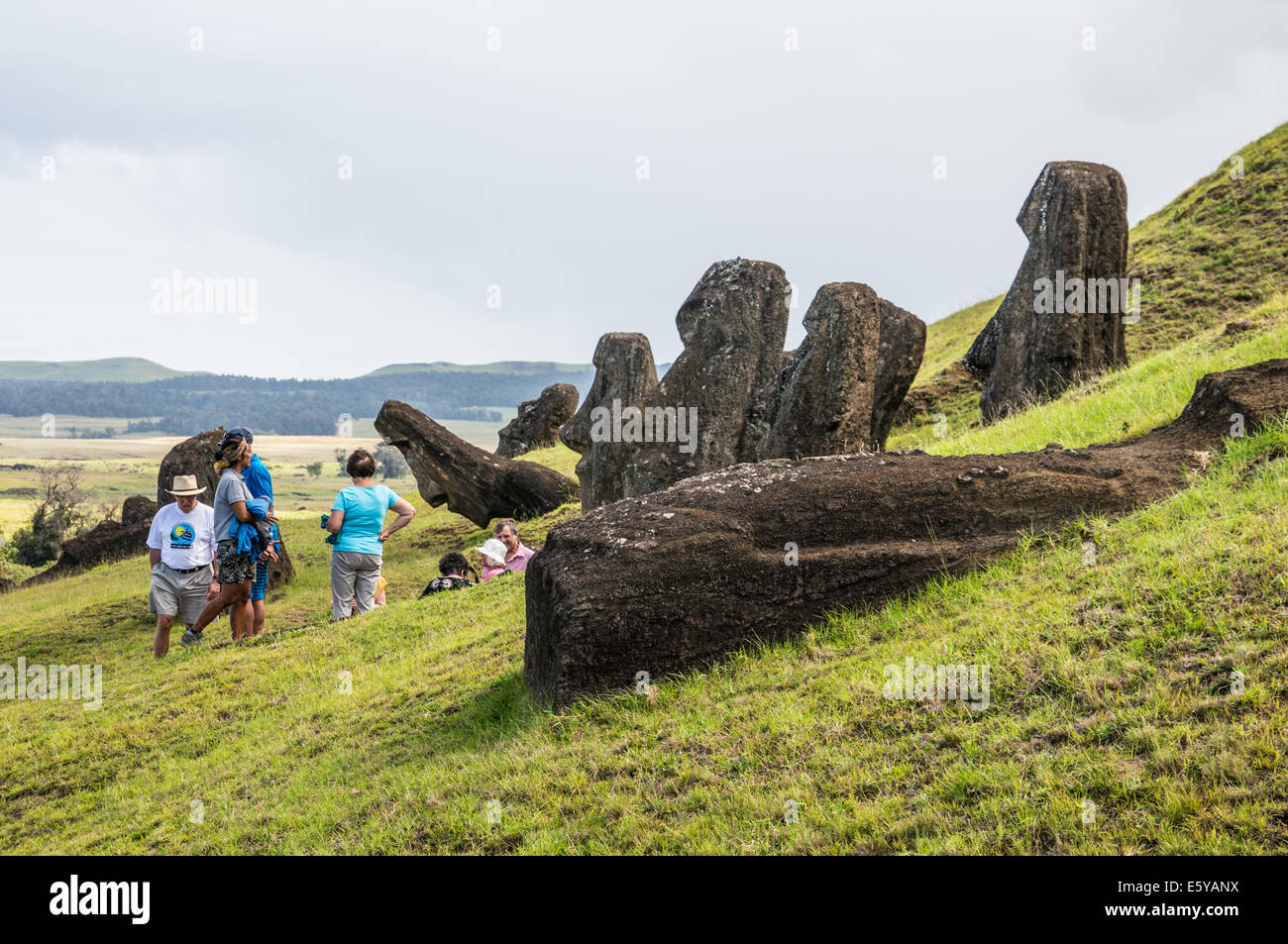 Easter Island moai statues various Stock Photo - Alamy