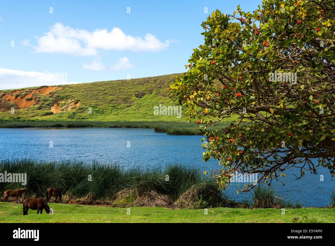 Rano Raraku Crater Stock Photos & Rano Raraku Crater Stock Images - Alamy