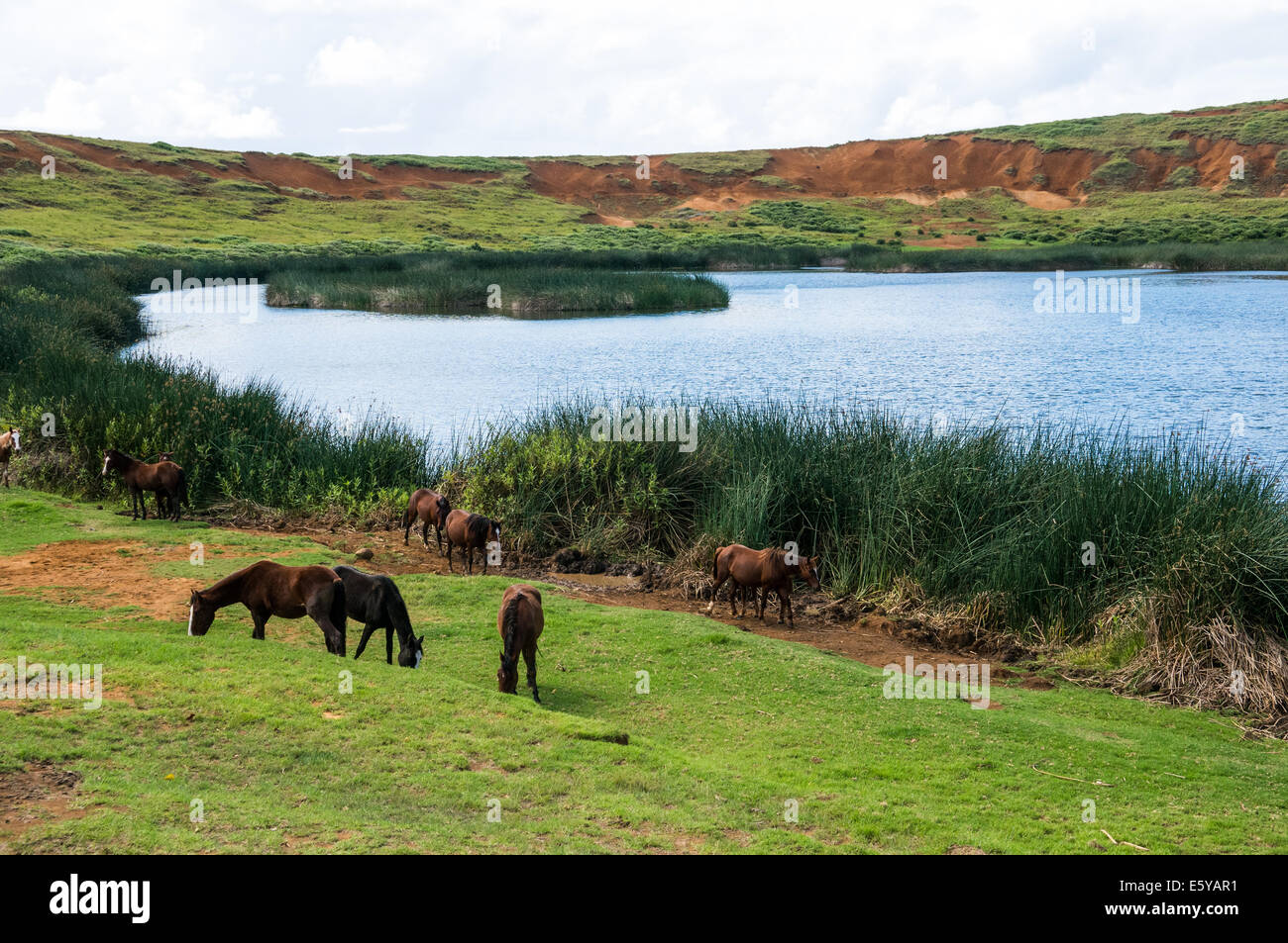Rano Raraku Crater Lake Easter Island Rapa Nui Stock Photo - Alamy