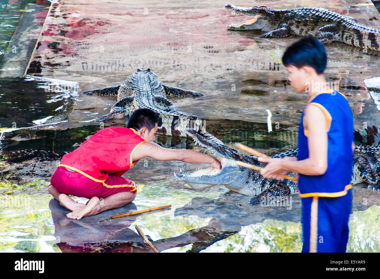 Crocodile show at Samphran Crocodile Farm on May 24, 2014 in Nakhon ...
