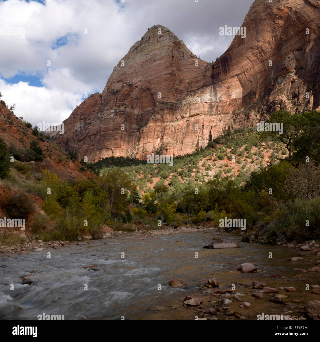 Stream flowing through a forest, Zion National Park, Utah, USA Stock ...
