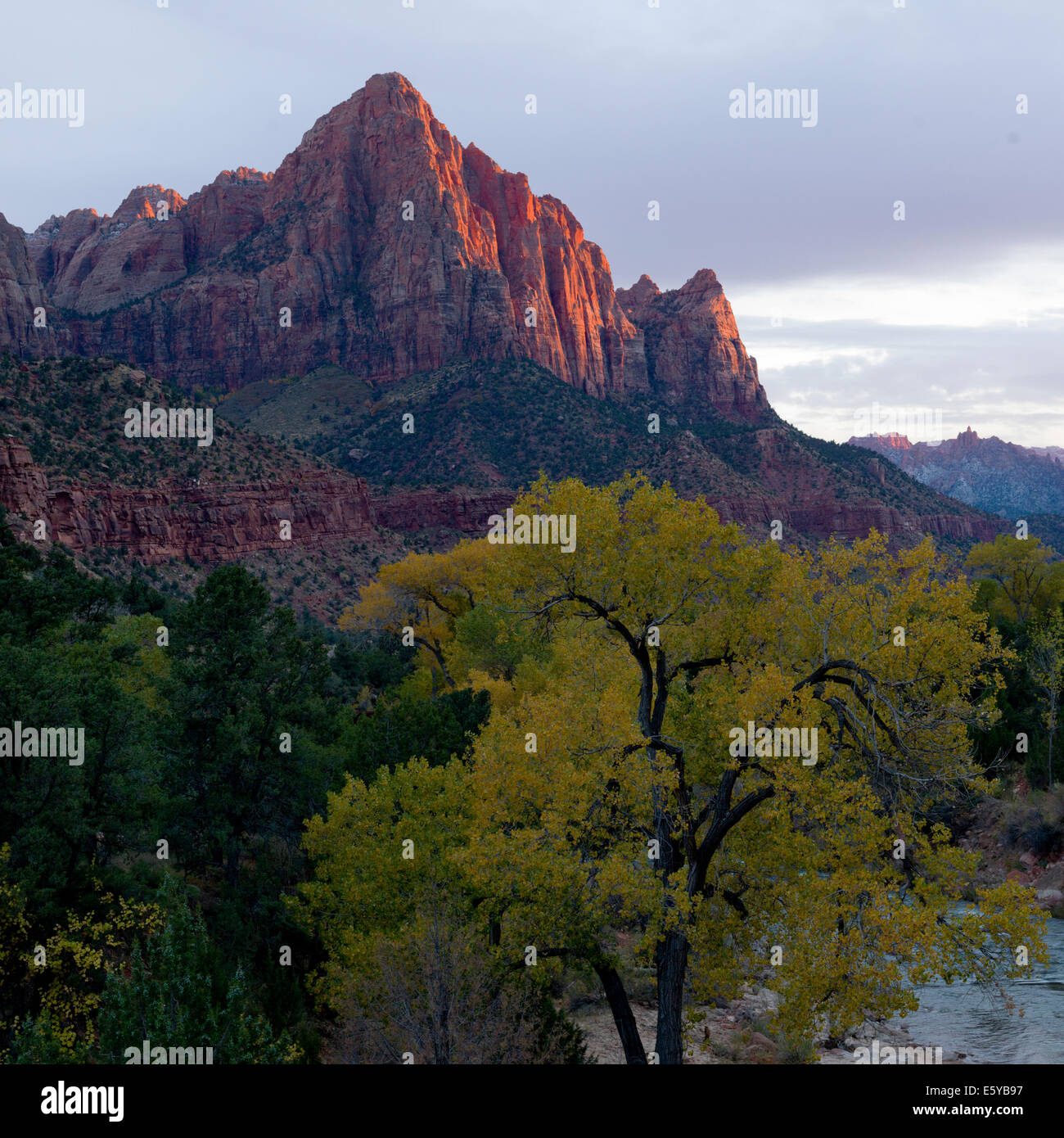 Mountain range of zion hi-res stock photography and images - Alamy