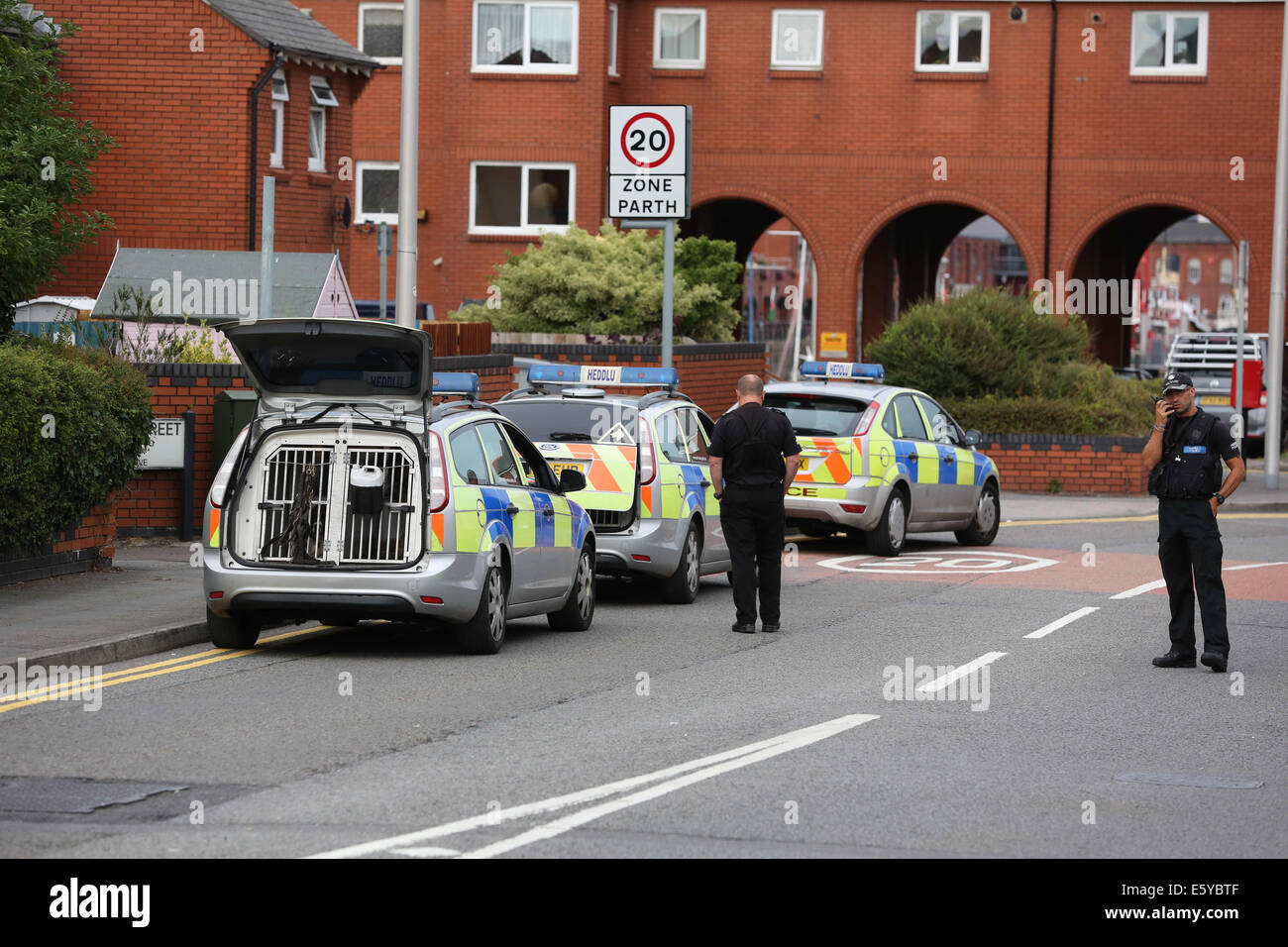 Swansea, Wales, UK. 8th August, 2014. Pictured: Police dog units on ...