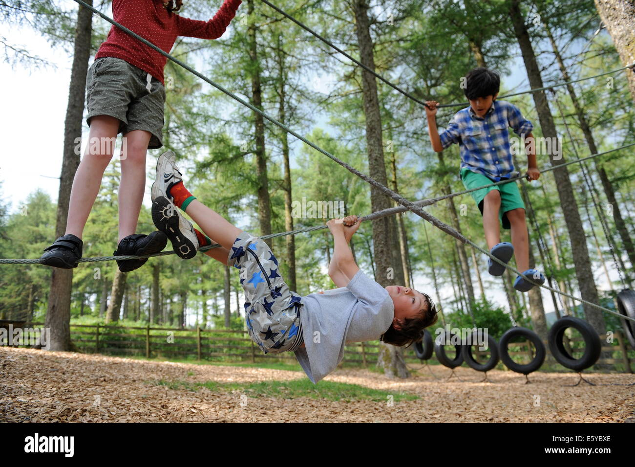 School friends swinging in the adventure park at Garwnant Forest, Powys ...