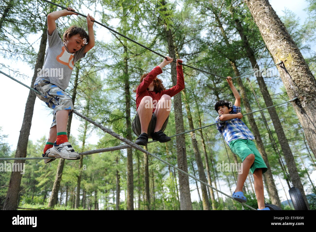 School friends swinging in the adventure park at Garwnant Forest, Powys ...