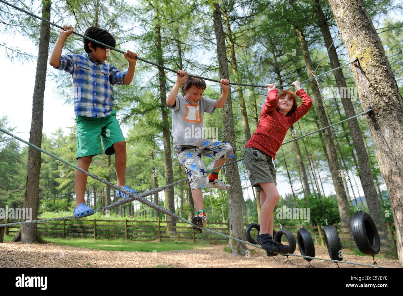 School friends swinging in the adventure park at Garwnant Forest, Powys ...