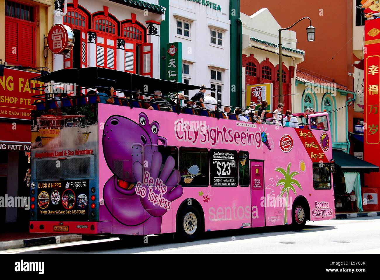 Pink Charter Bus