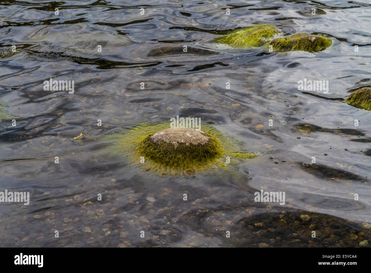 Owen's lake algae hi-res stock photography and images - Alamy