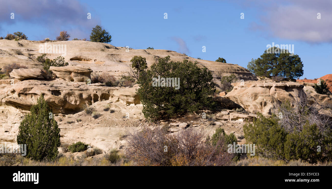 Rocks formations Paria Canyon, Paria, Kane County, Utah, USA Stock ...