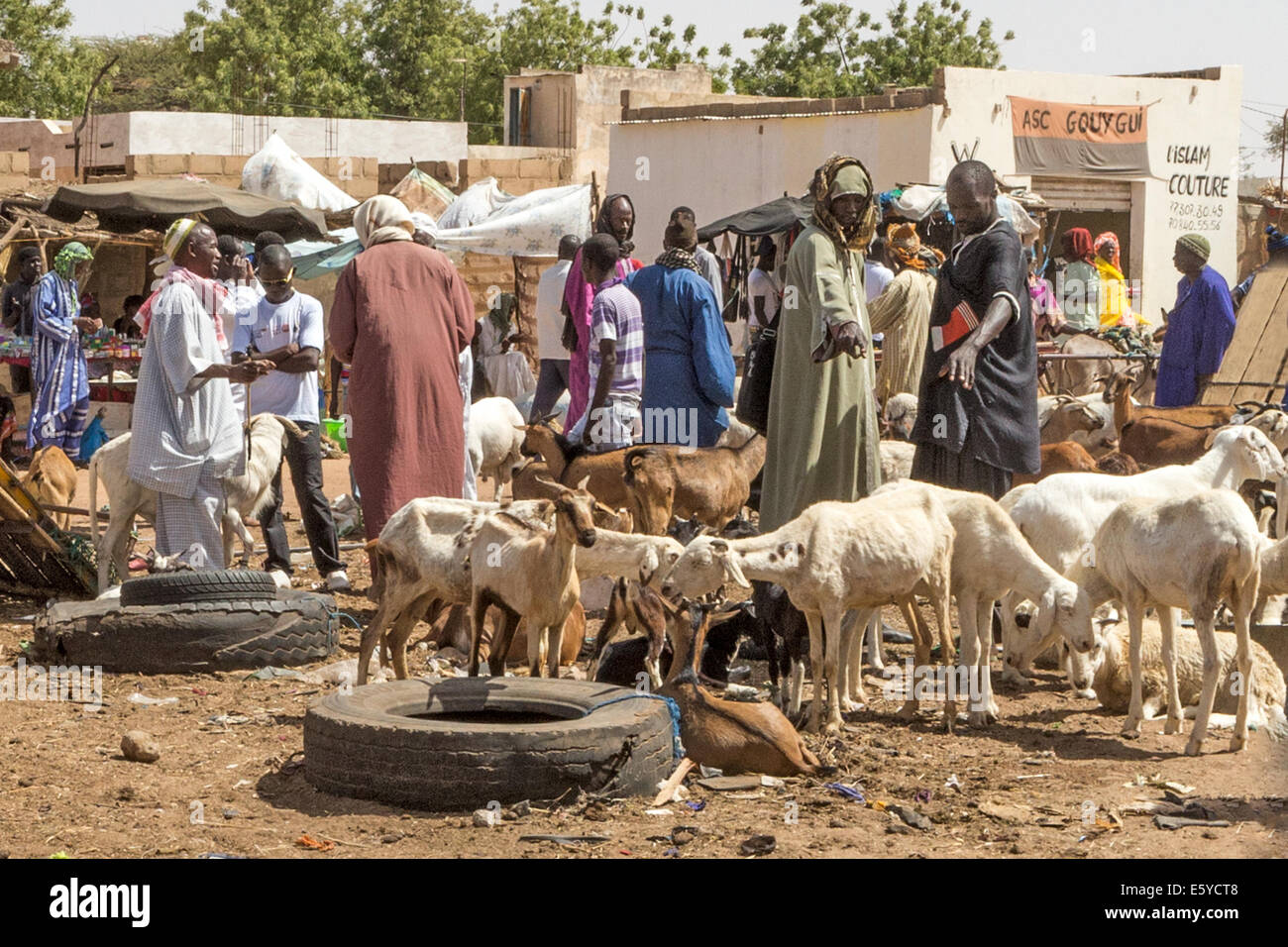 Goats & locals, Ngoumba village market, Senegal Stock Photo - Alamy