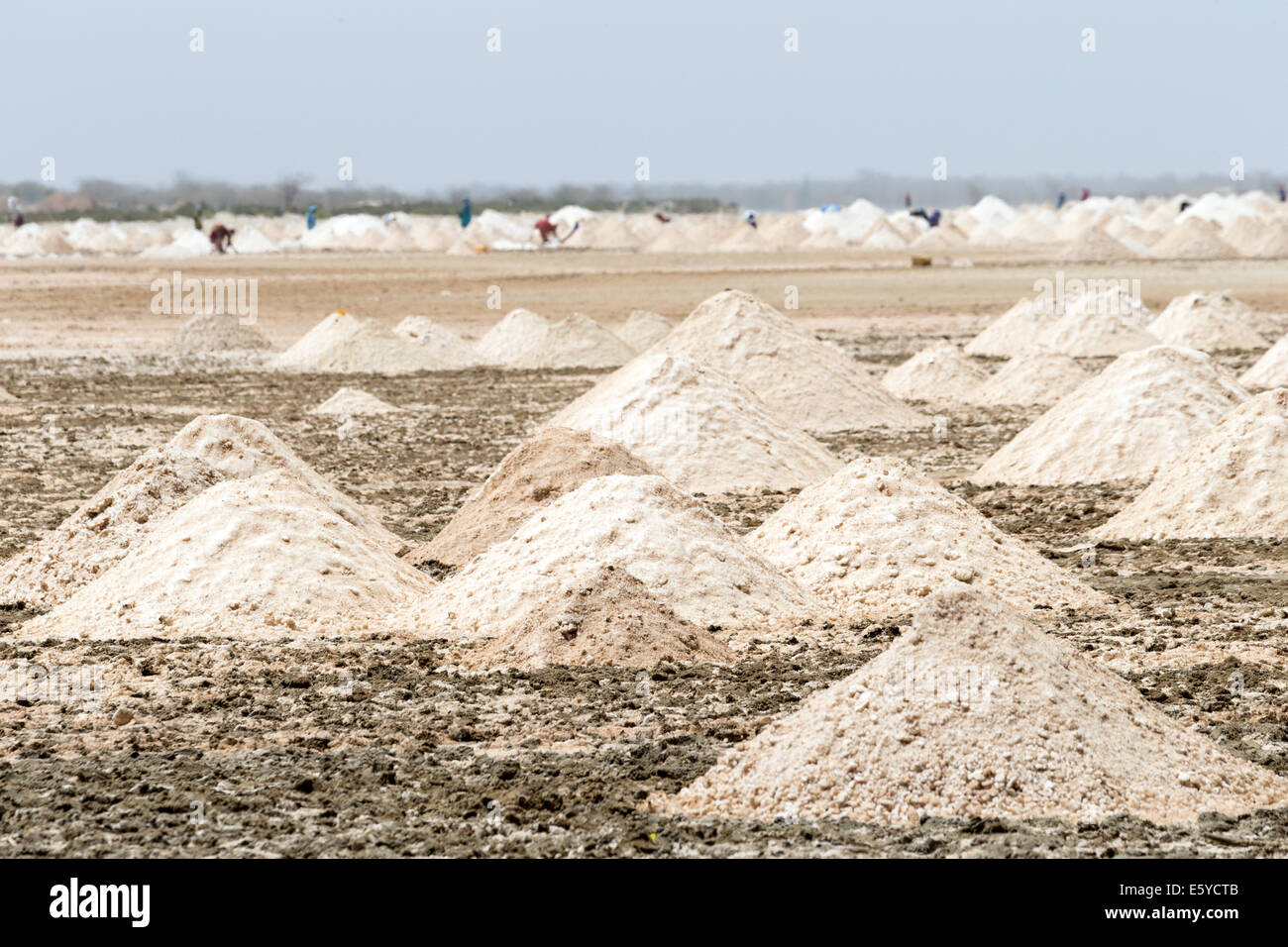 Salt pans/flats near St Louis, Senegal Stock Photo - Alamy