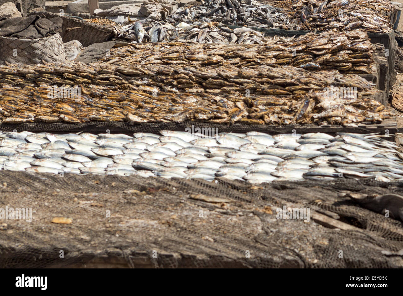 Fish market st louis senegal hi-res stock photography and images - Alamy
