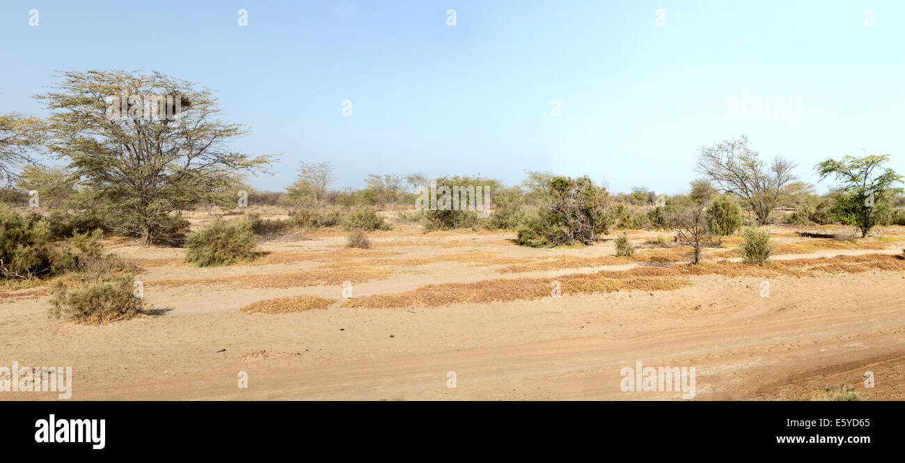 Landscape view, Senegal Stock Photo - Alamy